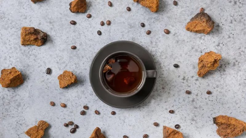 Pečurka čaga je ruska superhrana koja je osvojila ceo svet - Harper's ...