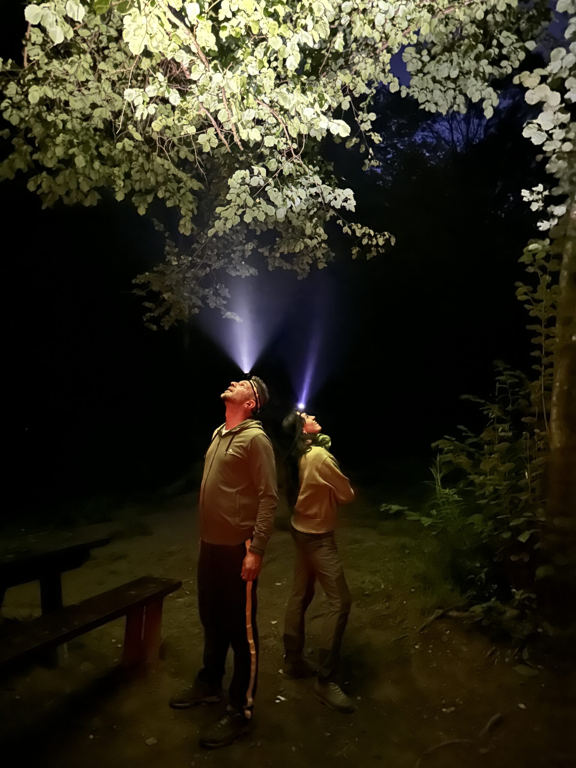 Maša Memedović u prirodi